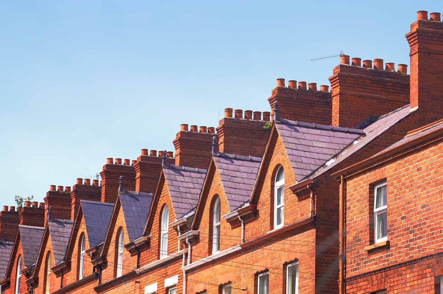 Damp Proofing Specialists - Mould Solutions Ireland - Damp Doctor