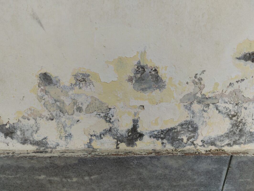 What Are the Signs of Rising Damp? - Dampdoctor